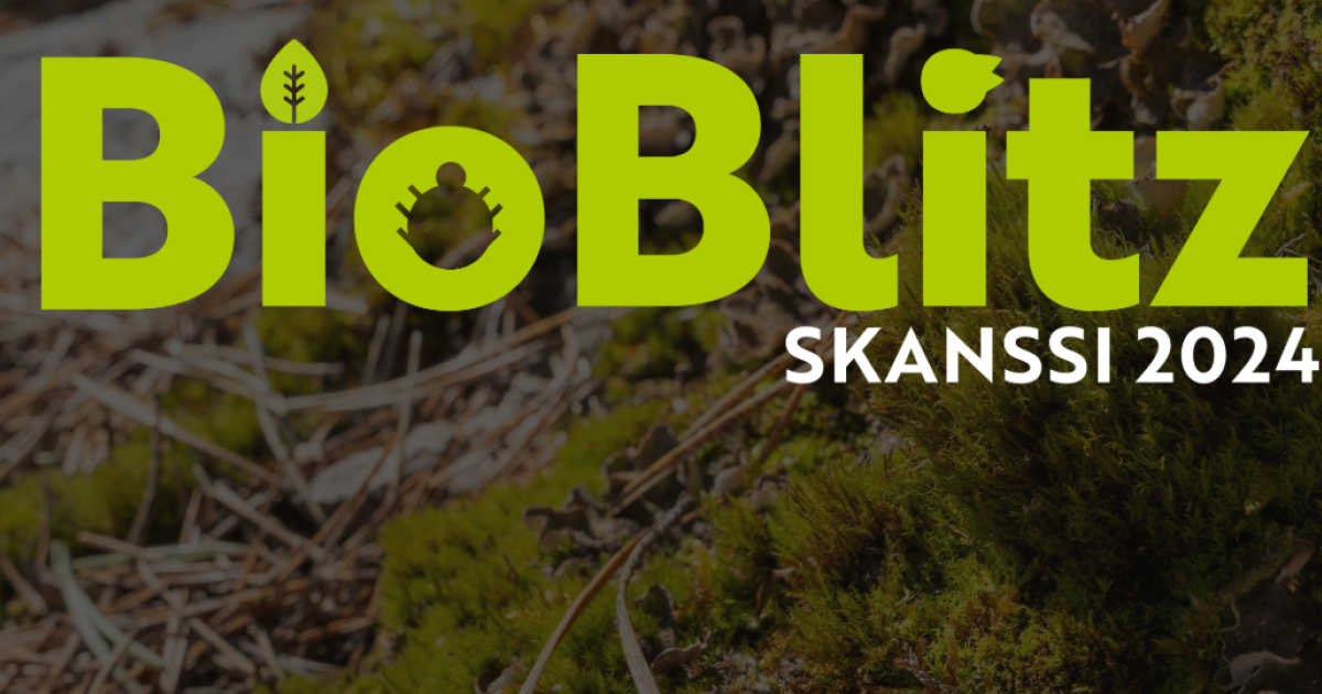 BioBlitz at Skanssi Biodiversity Park on August 31, 2024 | University of Turku